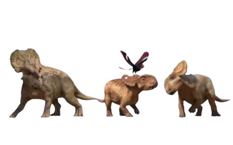 Patchi Alex Juniper And Scowler By Dracoawesomeness On Deviantart