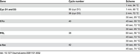 Pcr Amplification Schemes Download Table