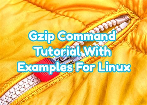 Gzip Command Tutorial With Examples For Linux - POFTUT : r/poftut