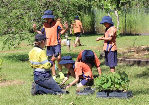 Bringing Back The Bush Greening Australia Greening Australia