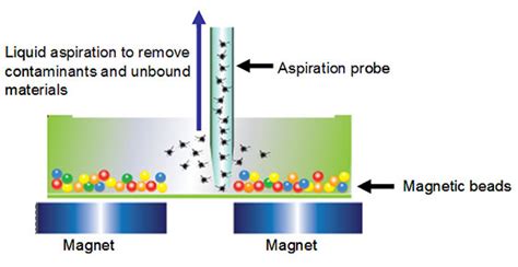 Bio Plex Multiplex Immunoassays Design And Technology Bio Rad