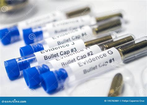 Criminalistic Laboratory Scientific Police Officer Holds Bullet Tips