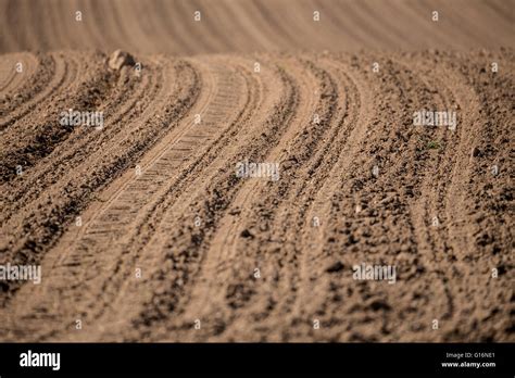 Beautiful Summer Rural Landscape With Plowed Field Curves Rural