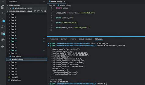 Получение информации о домене с Whois и Dns Python