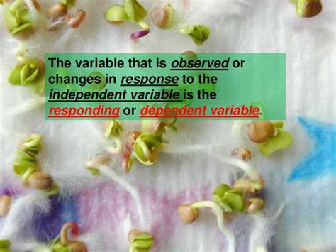 Chapter 1 The Science Of Biology Ppt Download