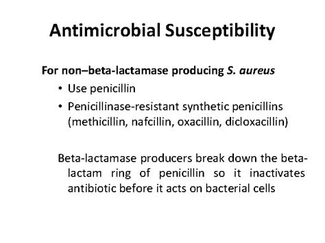 Staphylococcus Morphology Grampositive Cocci In Clusters Staphylococcus Streptococcus