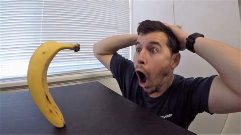 flynnflytaggart