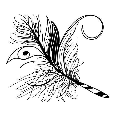 Feather Black And White Clip Art