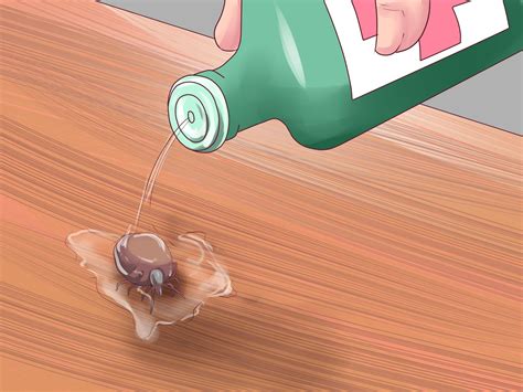 4 Ways To Remove A Tick Artofit