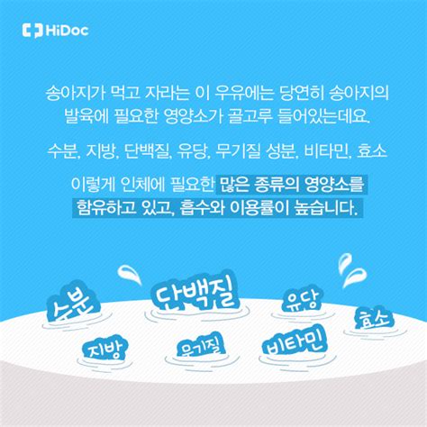 의학정보 강좌