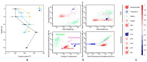 Schematic Diagram Illustrating The Coupling Of The Biochemical Cycles