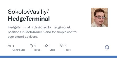 Github Sokolovvasiliyhedgeterminal Hedgeterminal Is Designed For