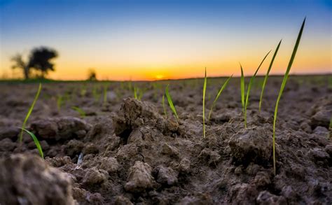 Почва картинки для презентации 65 фото