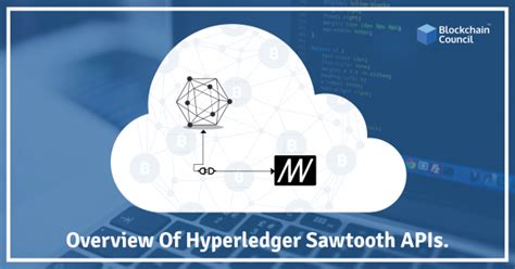 architecture of hyperledger sawtooth a comprehensive overview