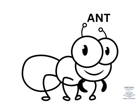 Formiga Desenho Para Colorir