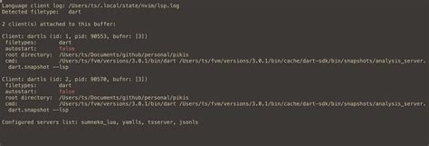 multiple lsp servers attached to the same buffer · issue 171 · nvim flutter flutter tools nvim