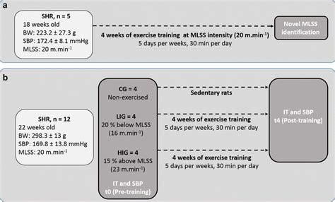 Experimental Design Experimental Design Of The Two Experiments Download Scientific Diagram