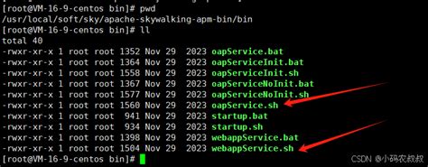 【微服务】springboot制作docker镜像接入skywalking详解 csdn博客
