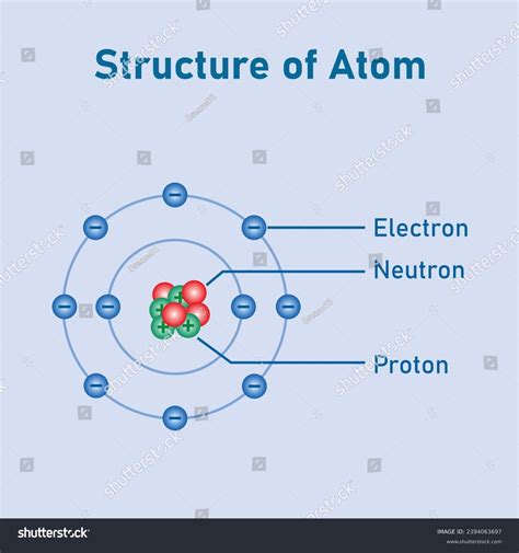 Atom Structure Model Diagram Bohr Atomic Stock Vector Royalty Free Shutterstock