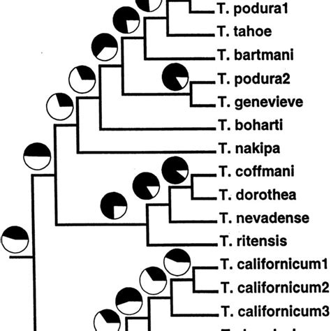 Results Of Maximum Likelihood Inference Of Ancestral States For Download Scientific Diagram