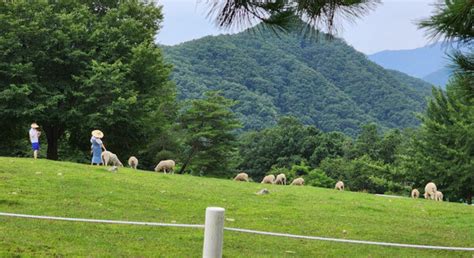 춘천 뚜벅이 당일치기 여행코스