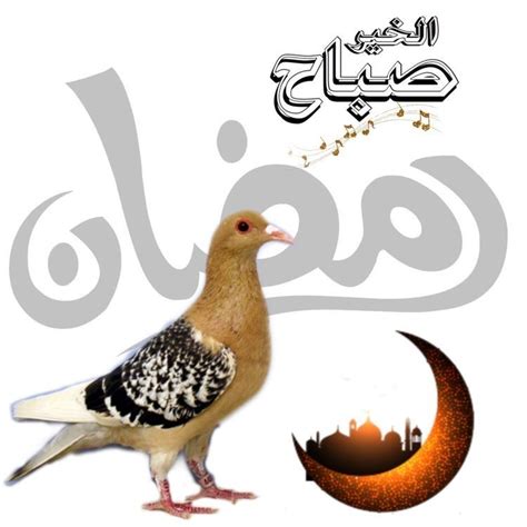 Pin By Mohammes Ibrahim On مرات الحفظ السريع Ramadan Cards Ramadan
