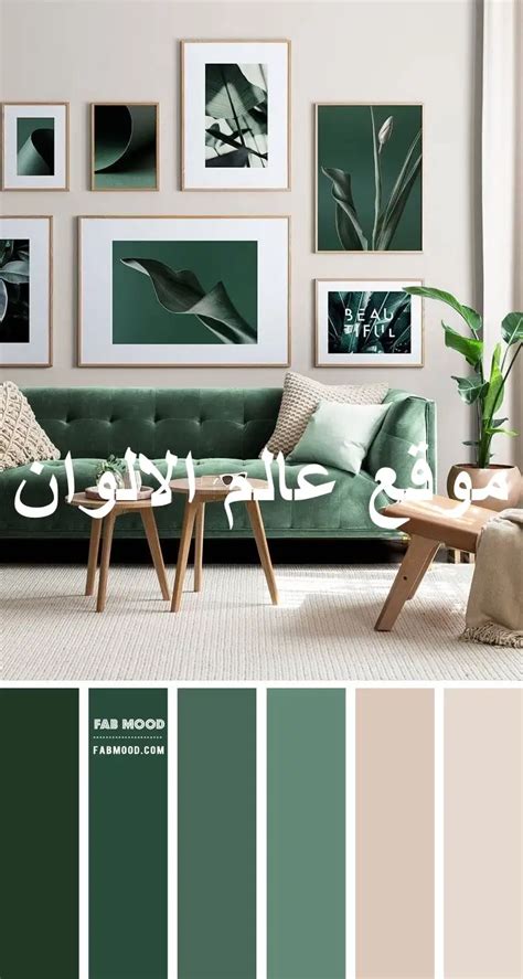 الوان حوائط درجات اللون الزيتي في الدهانات 2024 فاتح وغامق
