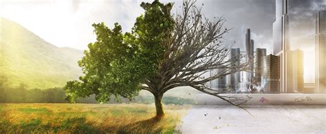 environmental management system benefits green business gazette