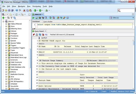 Options Features And Properties Of Your Database DBAORA