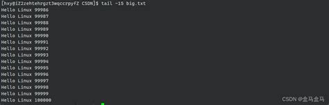 Linux系统：文件读取指令linux读取文件 Csdn博客