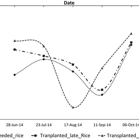 Overview Of The Methodology For Mapping Different Rice Growing Practices Download Scientific