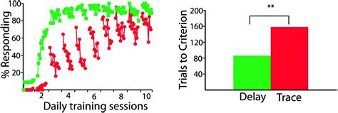 Interactions Between Prefrontal Cortex And Cerebellum Revealed By Trace