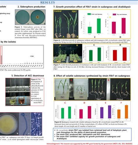 Phosphate Solubilization Plate Assay Supplemented By Calcium Phosphate