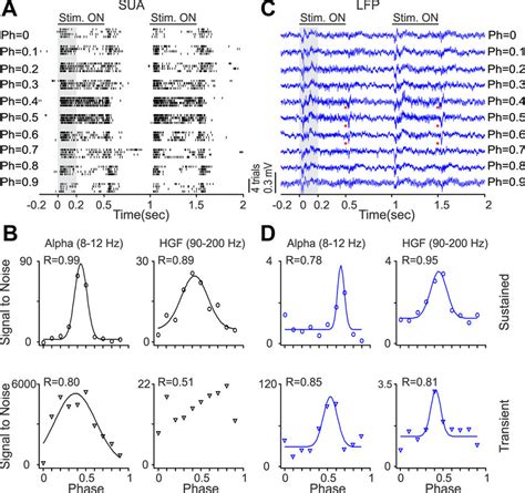 Sualfp Phase Tuning From An Example Recording Of A Single Unit That