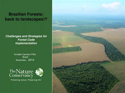 Brazilian Forests Back To Landscapes Challenges And Strategies For