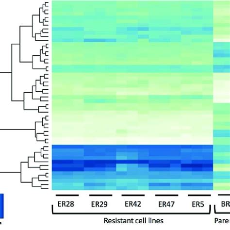 Differentially Expressed Genes In Entrectinibresistant Clones Rna Seq Download Scientific
