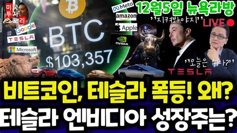 미국주식비트코인십만불 테슬라 360돌파 왜 버블엔비디아 구글 애플 아마존 메타 마이크로소프트 팔란티어 아이온큐