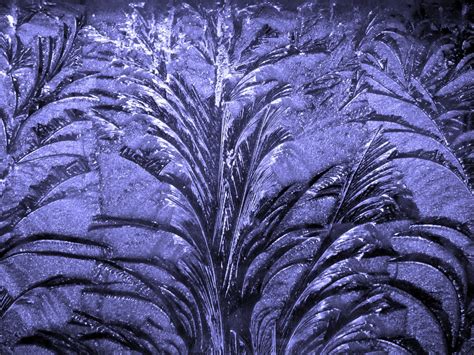 Frost Pattern 3 Free Photo Download Freeimages