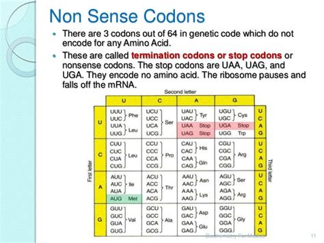 Genetic Code
