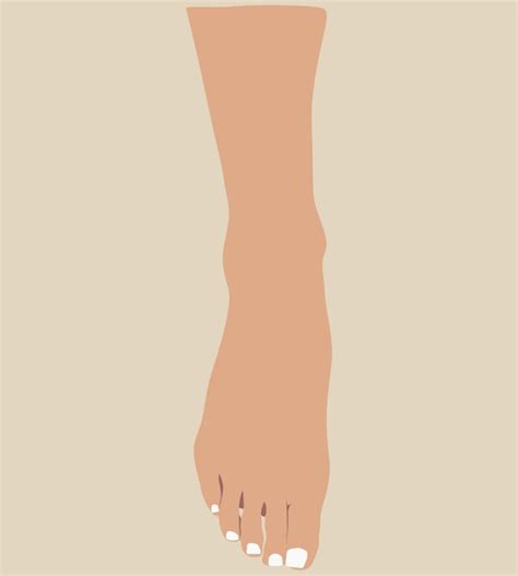 Premium Vector Woman Foot Pedicure Illustration Foot Jewelry