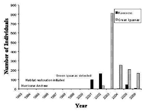 Time Line Annual Totals Of Numbers Of The Raccoon And Green Iguana