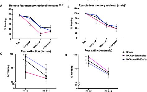 Figure 1 From Sex Differences In Cognitive Impairment After Focal