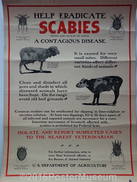 Help Eradicate Scabies Poster Museum