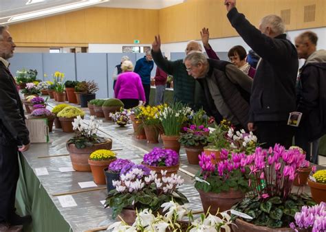 AGS South West Show Alpine Garden Society