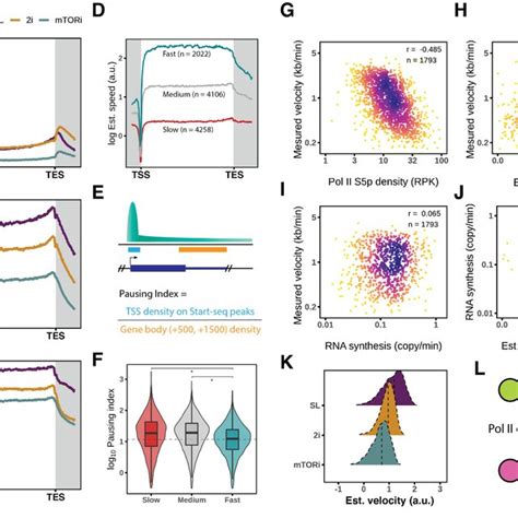 mouse es cells transcript annotation with tt seq download scientific