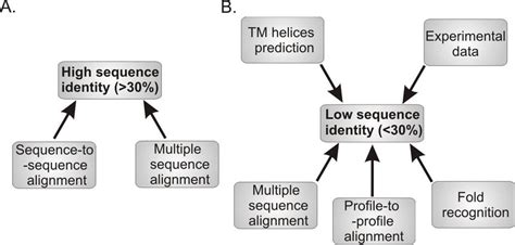 Computational Approaches For The Alignment Of Query And Template
