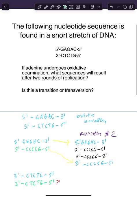 Solved The following nucleotide sequence isfound in a short | Chegg.com