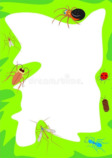 Bug Border Frame Design For Wildlife Illustration