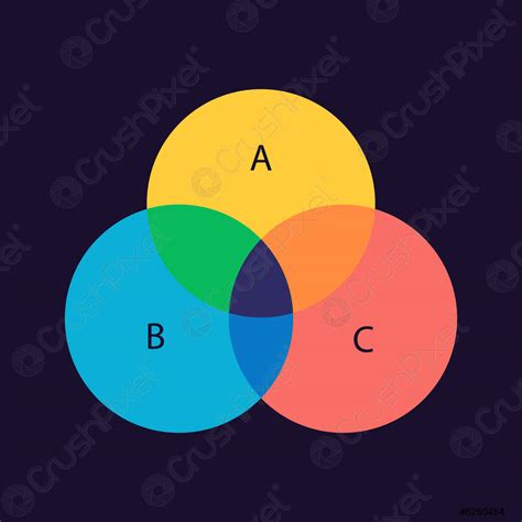 Linguistics Fields Relationship Venn Diagram Infographic Design