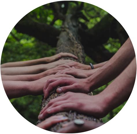 Climate Of Unity In This Together